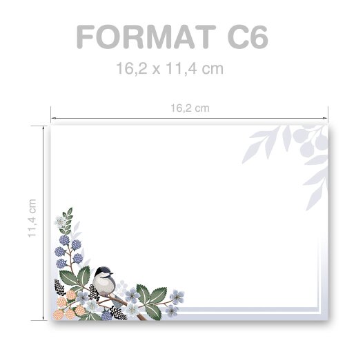 Motif envelopes SPRING BRANCHES 10 envelopes DIN C6 (162x114 mm) | Pa
