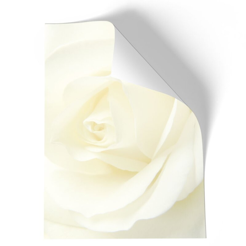 Stationery Paper Flowers & Petals, Love & Wedding | WHITE ROSE | 20 s