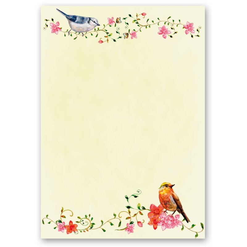 Shop Stationery Online | BIRDS CHIRPING | 50 sheets DIN A5 | Paper-Me